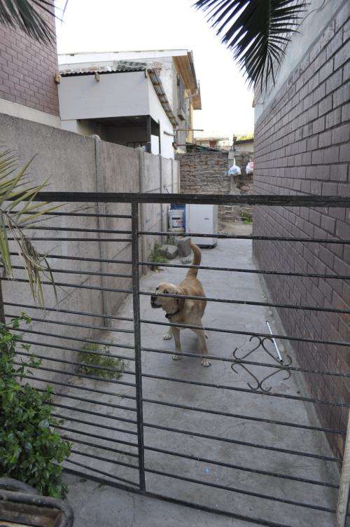 Casa 5 minutos centro de maipu, 2 dormitorios, entrada auto, buena ...